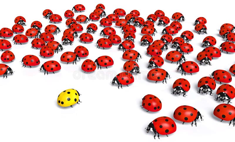 Yellow Ladybird is Marginalized Stock Illustration - Illustration of ...