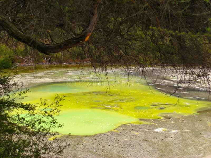 Yellow Lake in Rotorua - NZ Wai-O-Tapu Stock Image - Image of beautiful ...