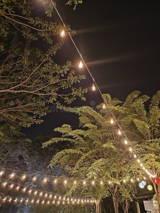 Yellow Lamp and Tree at Night Cafe Stock Image - Image of lamp, yellow ...