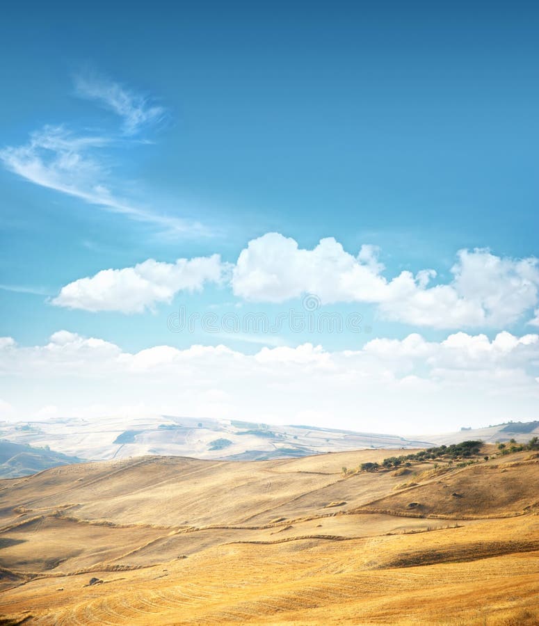 Yellow landscape stock photo. Image of pasture, farm, view - 6162552