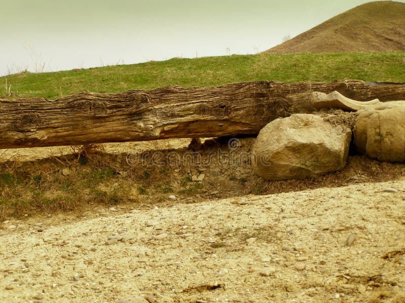 Yellow Landscape Log Stone Green Yellow Stock Image - Image of ...