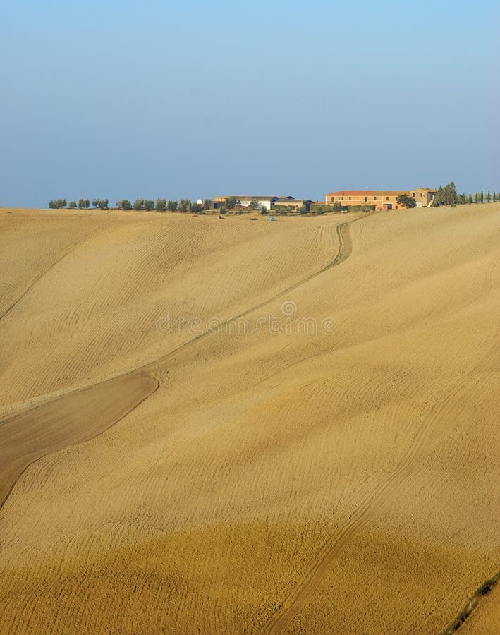 A Yellow Landscape in Tuscany Stock Photo - Image of countryside ...
