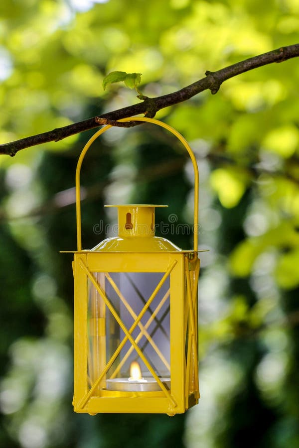 Yellow Lantern Hanging on Branch Stock Photo - Image of element ...