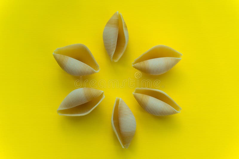 Yellow Large Pasta in the Shape of Shells on a Yellow Background Stock ...