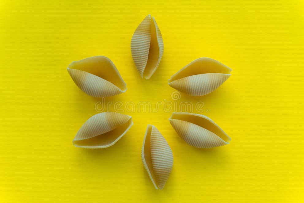 Yellow Large Pasta in the Shape of Shells on a Yellow Background Stock ...