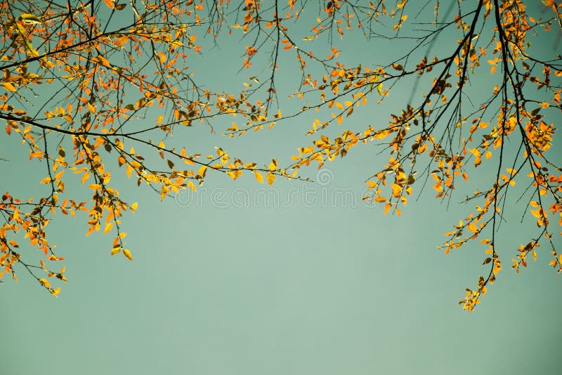Spring vintage background stock image. Image of digital - 22806693