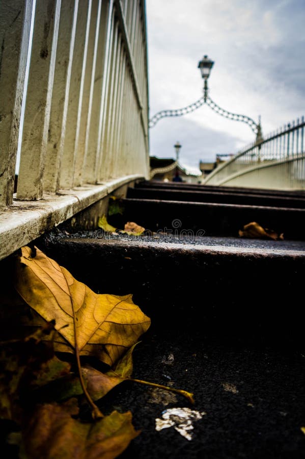 Yellow Leaf on the Ha` Penny Bridge in Dublin Stock Photo - Image of ...