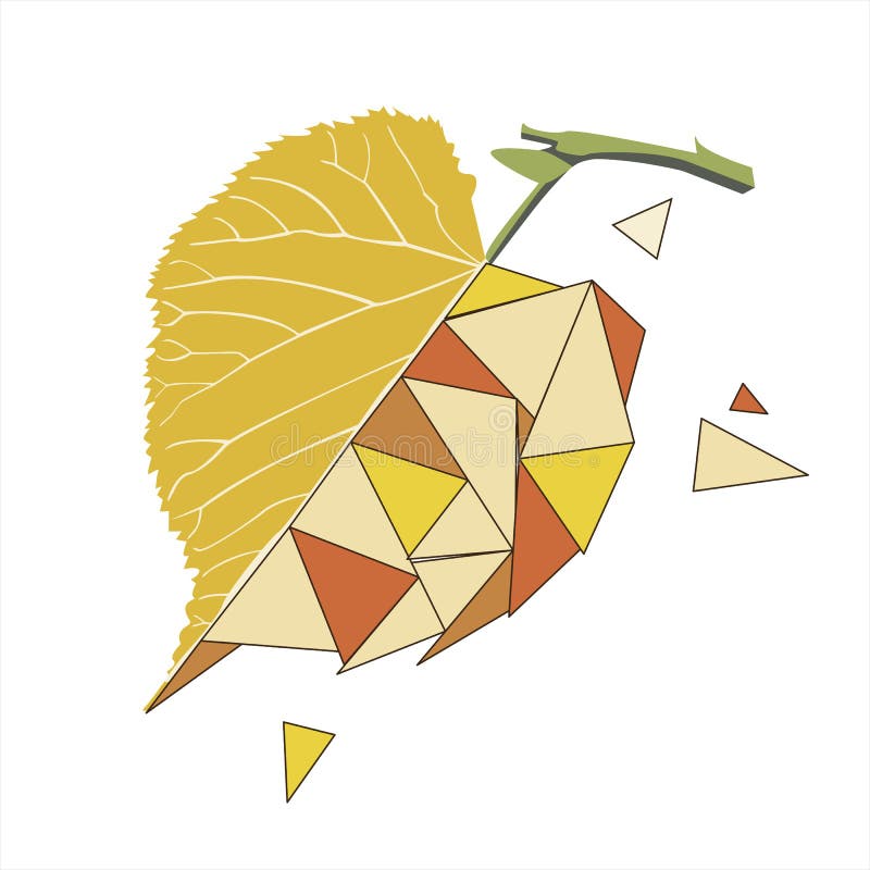 Linden Tree Leave with Linear Triangles Stock Vector - Illustration of ...