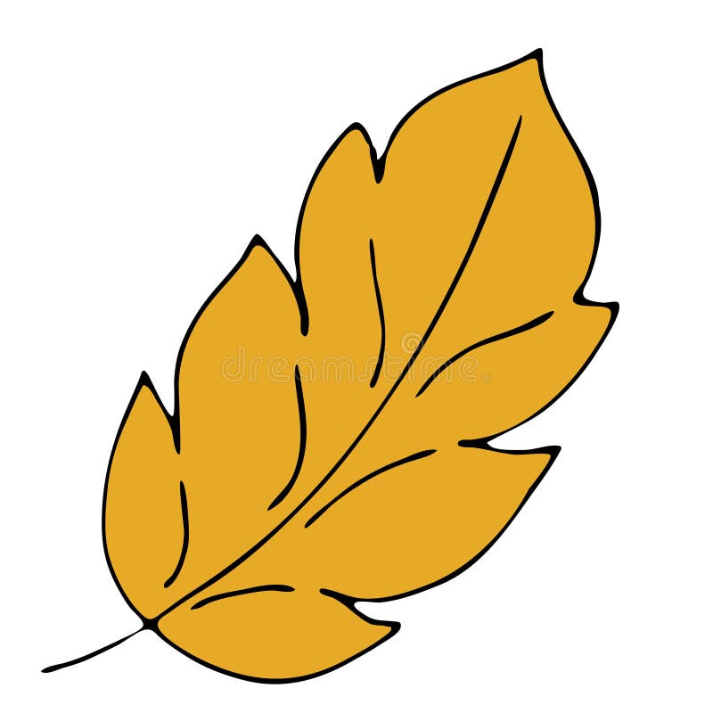 Yellow Leaf with Veins, Color Vector Doodles with Black Outline Stock ...
