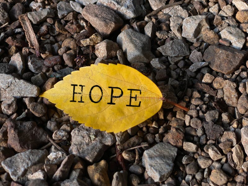 A Yellow Leaf with a Word “ HOPE” on the Pebble Ground. Stock Image ...