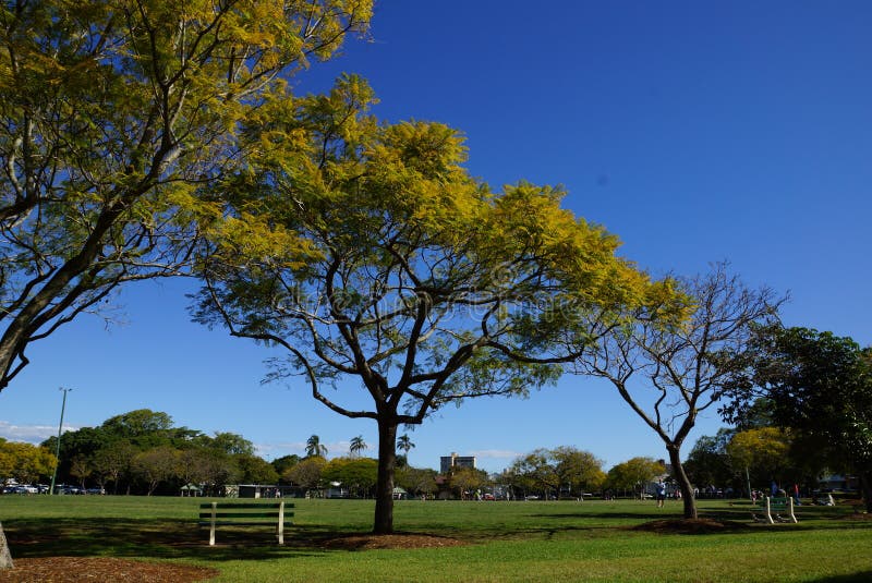 Shetting Vessels Stock Photos - Free & Royalty-Free Stock Photos from ...