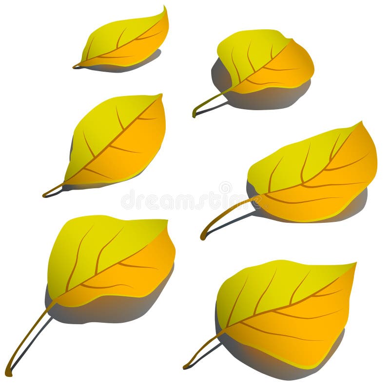 Yellow leaves stock vector. Illustration of vibrant, foliage - 20785255
