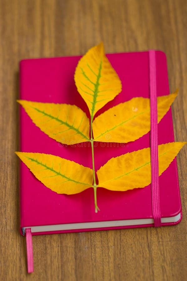 Yellow leaves on a notepad stock photo. Image of nature - 33620726