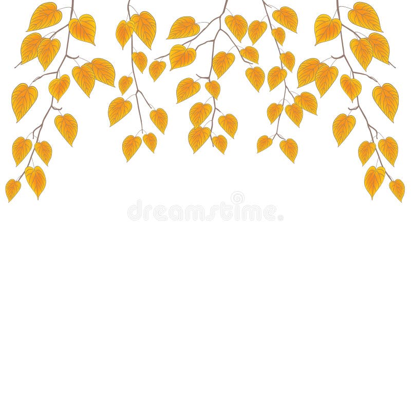 Yellow Leaves Over White. Autumn Vector Background. Stock Vector ...