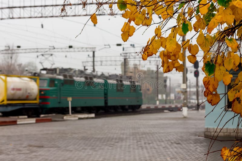 Yellow Leaves on a Tree on the Background of a Train Station Wit Stock ...