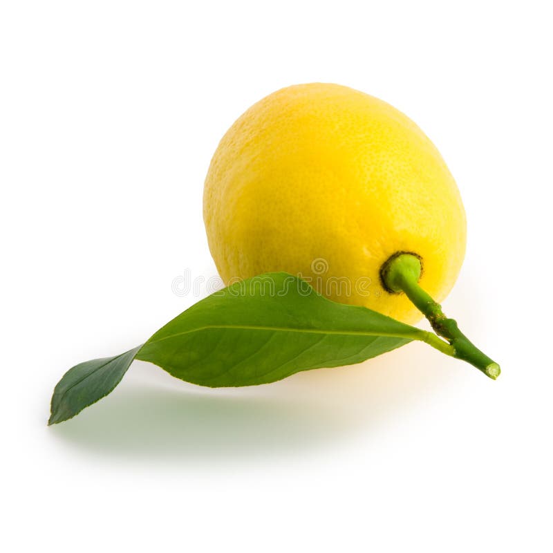 Cut yellow lemon stock photo. Image of agriculture, alternative - 36184454