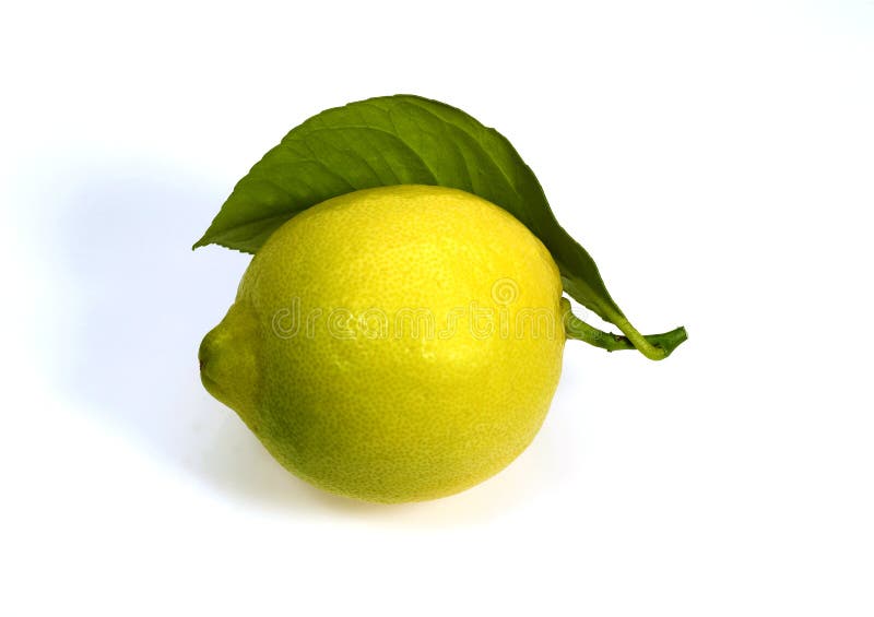 Citron jaune stock image. Image of indoor, lemon, still - 172802401