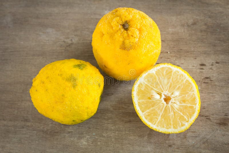 Yellow lemon or citrus stock image. Image of organic - 40660877