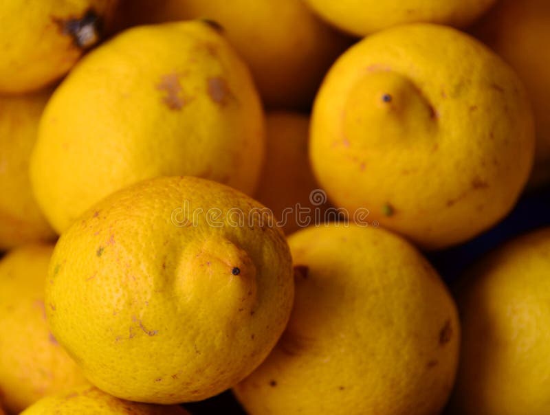 Yellow Lemon stock photo. Image of grocery, juice, yellow - 58757422
