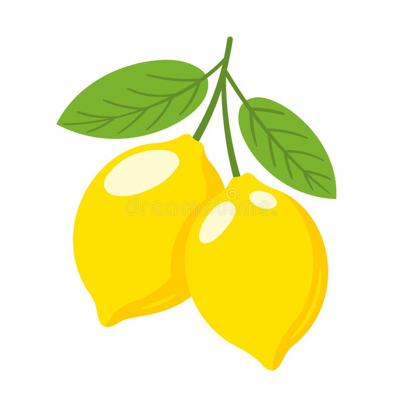 Yellow Lemon in Cartoon Style Isolated on White Background Stock Vector ...