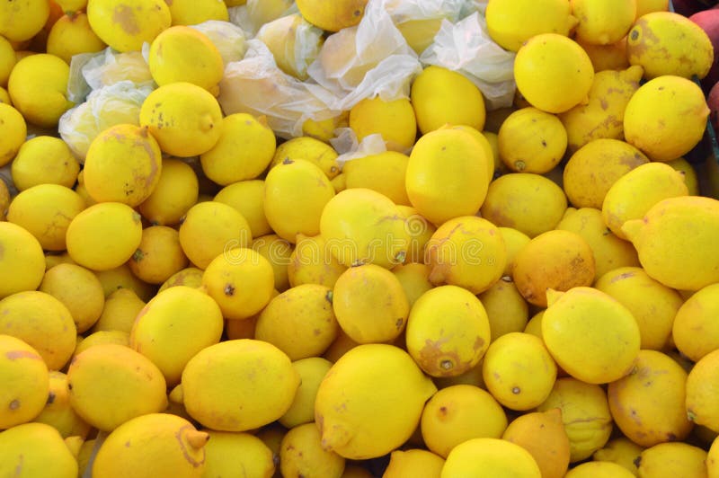 Yellow Lemon Pictures in the Grocery Store Stock Image - Image of ...