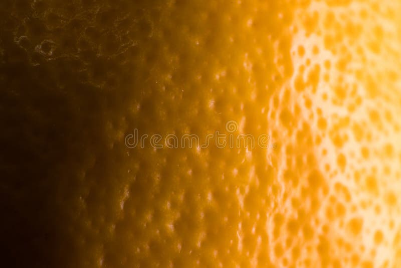 Yellow Lemon Peel Texture stock photo. Image of background - 64836256