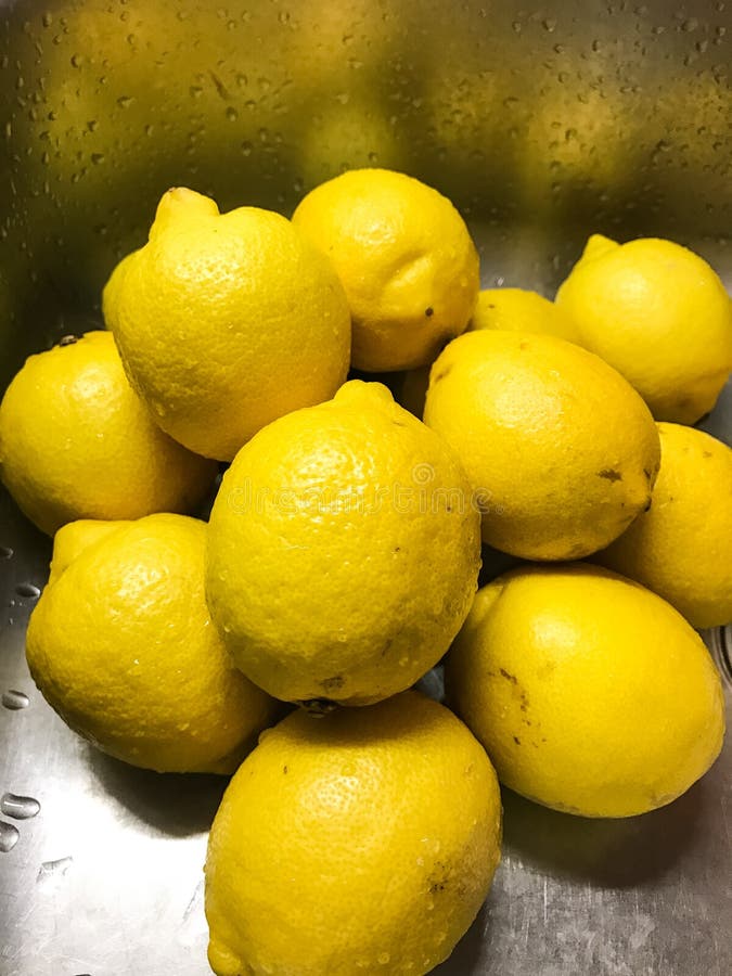 Yellow lemons in winter stock photo. Image of culinary - 85708536