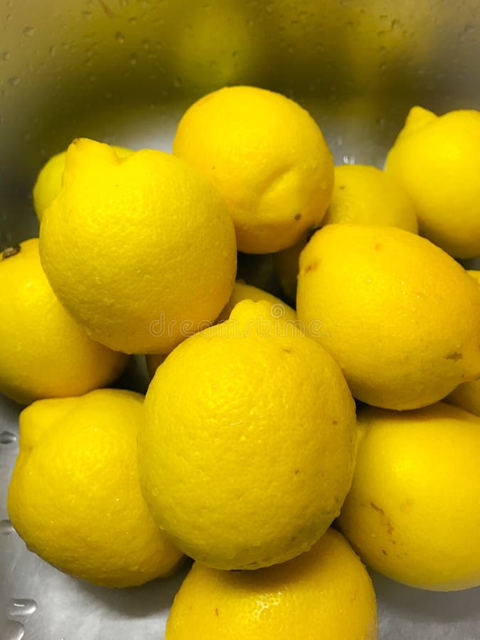 Yellow lemons in winter stock photo. Image of organic - 85709158