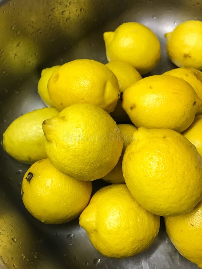 Yellow lemons in winter stock image. Image of natural - 85709659