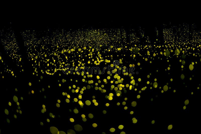 230 Lightning Bug Firefly Grass Stock Photos - Free & Royalty-Free ...
