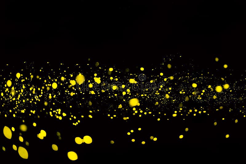 Light Bug stock image. Image of closeup, forest, wildlife - 14746703