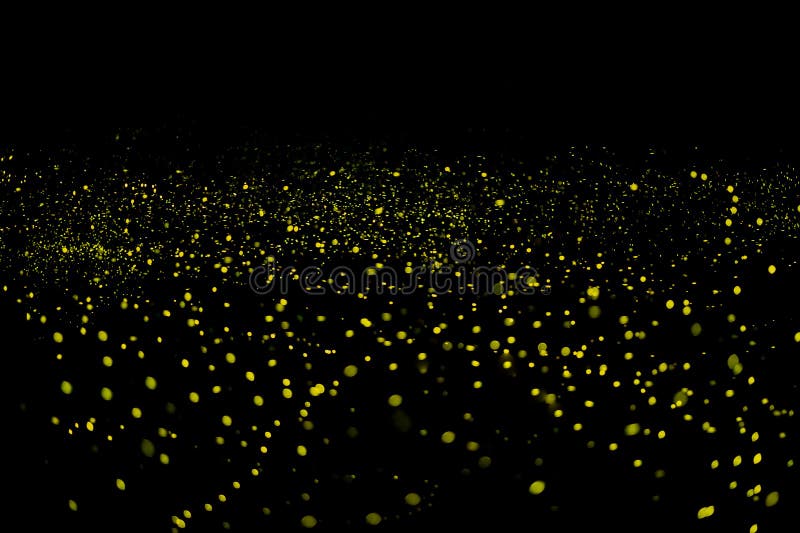 Light Bug stock image. Image of closeup, forest, wildlife - 14746703