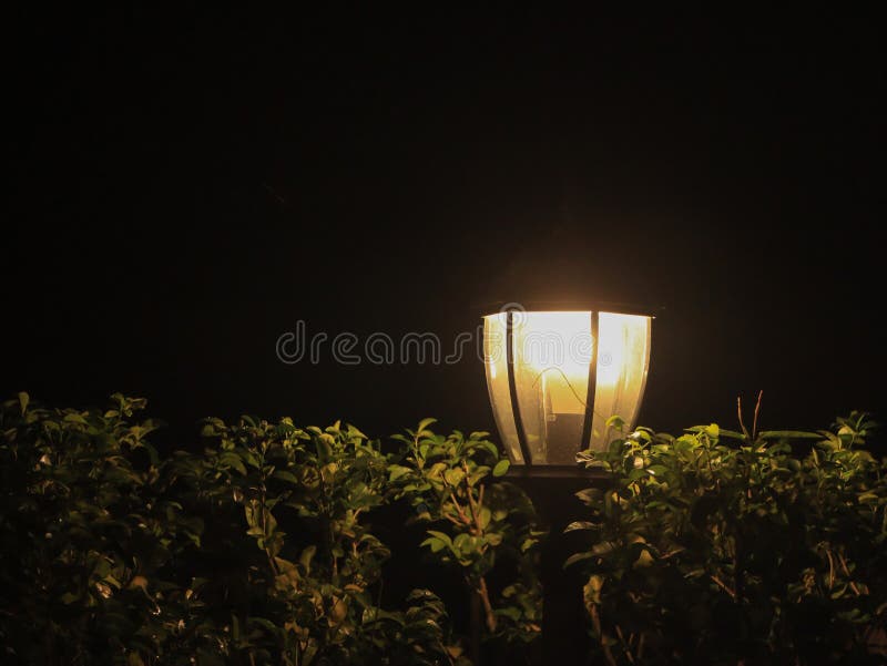 The Yellow Light Bulb Illuminates the Atmosphere at Night Stock Photo ...