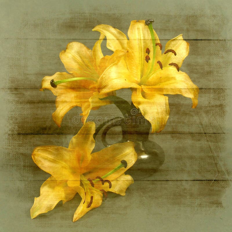 Yellow lily stock illustration. Illustration of lily - 49149717
