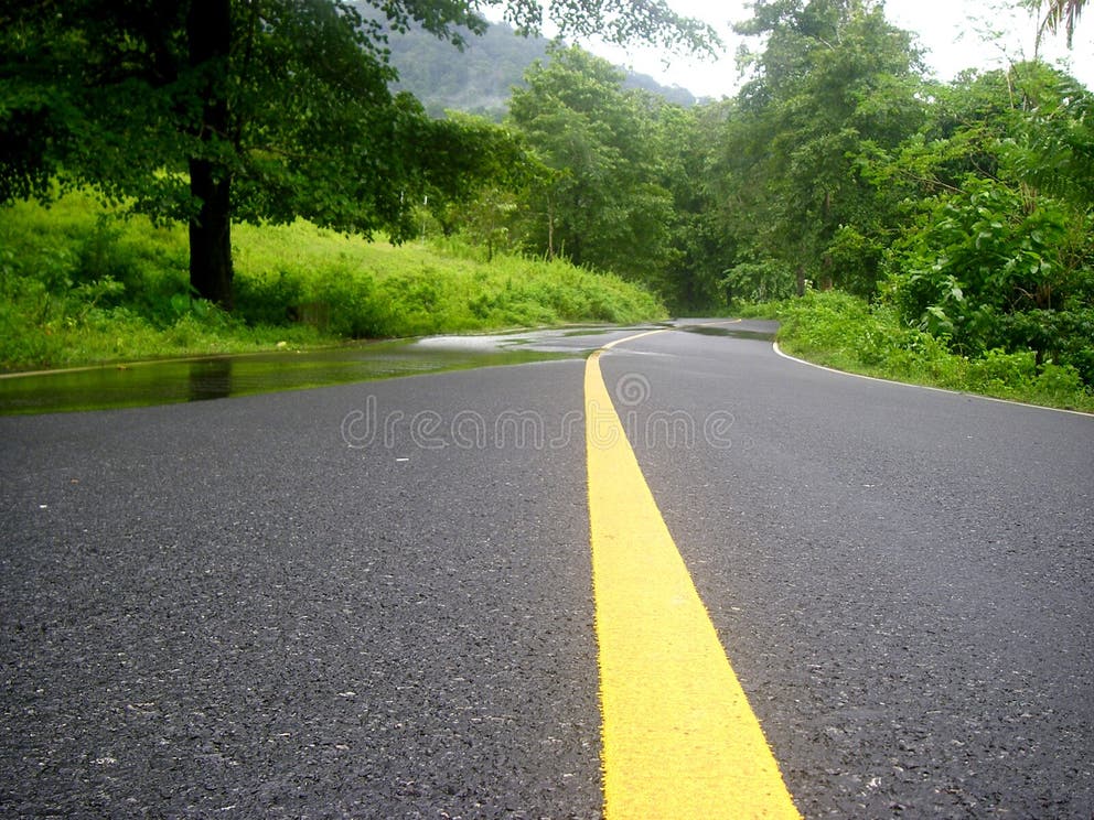 2,544 Divider Line Stock Photos - Free & Royalty-Free Stock Photos from ...