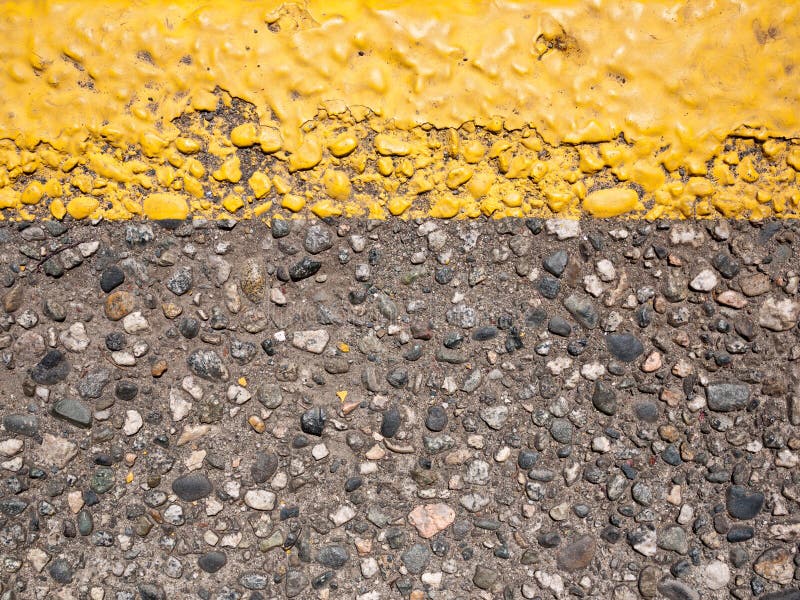 The Yellow-line Quaker, Agrochola Macilenta Stock Image - Image of ...