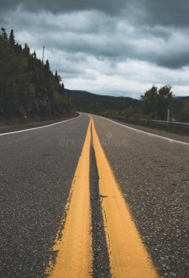 Yellow Lines on a Long Asphalt Road Surrounded by Greens Under the ...