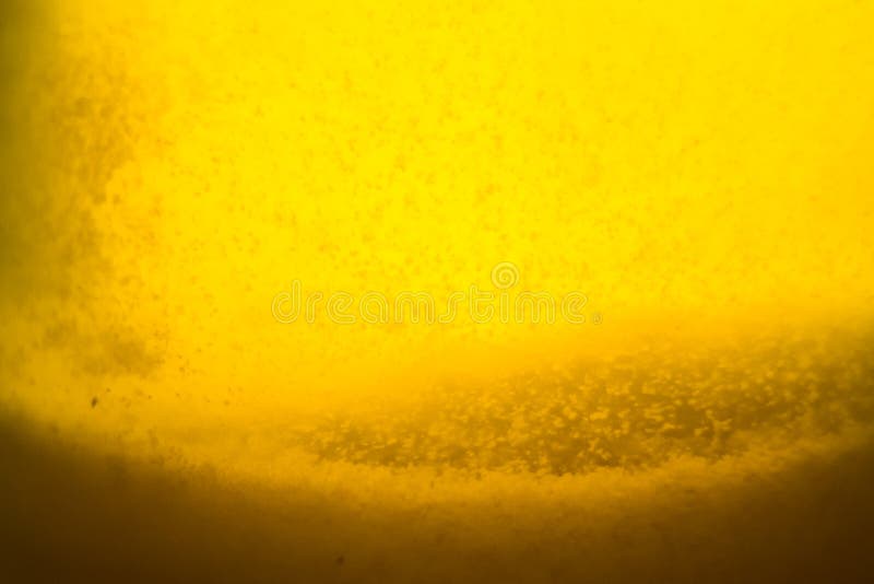 Yellow Liquid Honey Texture Close Up with Some Solid Particles in ...