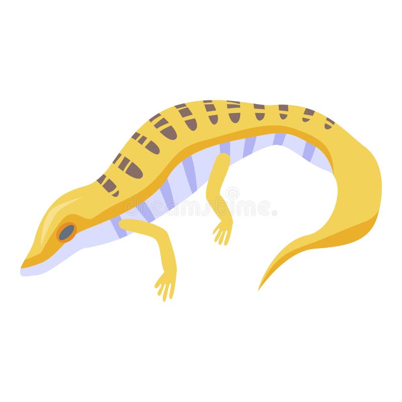 Yellow Lizard, Spotted Salamander Isolated on White Background. Stock ...