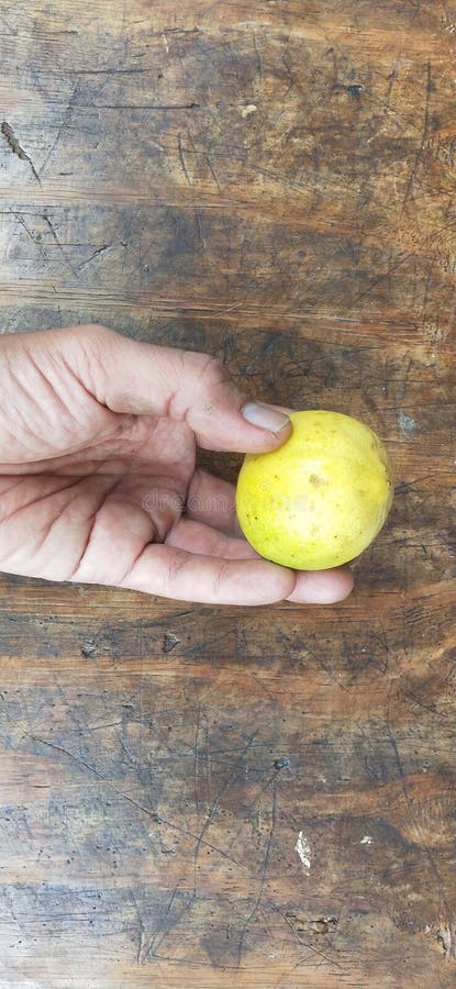 Yellow Local Lemon in a Hand Stock Photo - Image of wood, produce ...