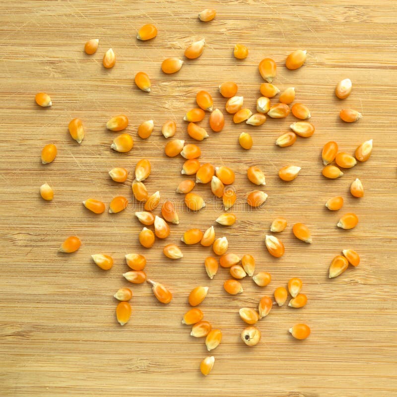 Yellow Maize Corn Kernels Ready for Making Popcorn, on Bamboo Cutting ...