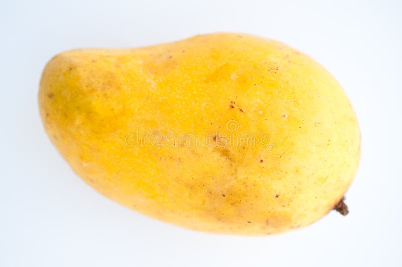 Yellow Mango Isolated on White Stock Photo - Image of gourmet, nature ...
