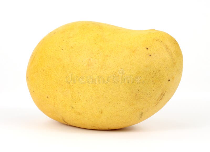 Yellow mango fruit stock image. Image of fresh, food, golden - 9354733