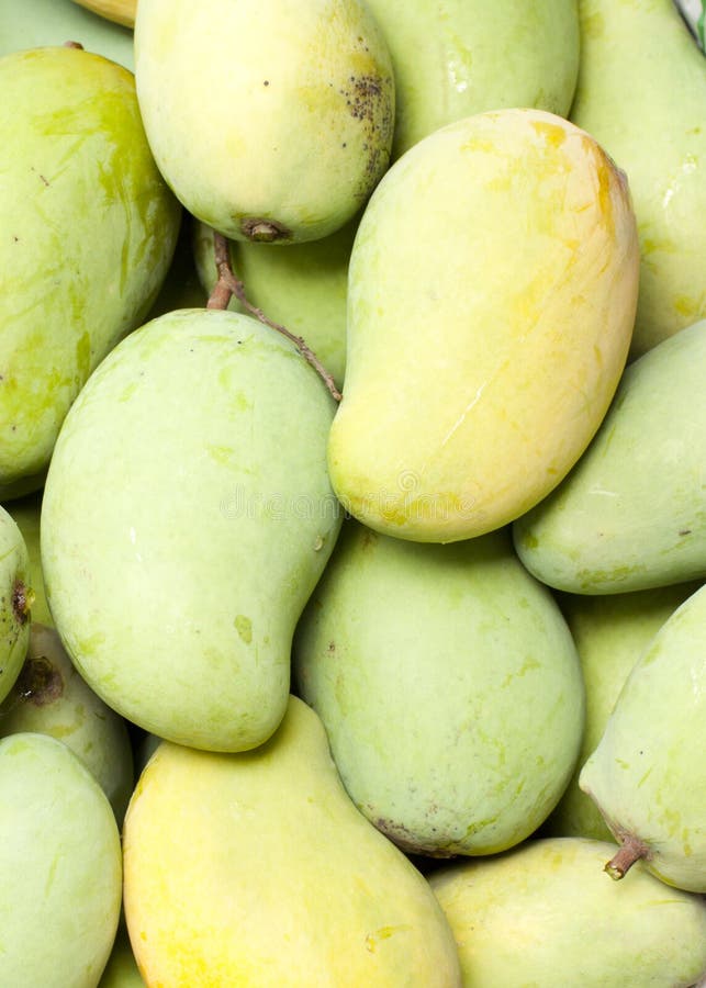 Yellow mango stock photo. Image of tropical, sweetness - 20248412