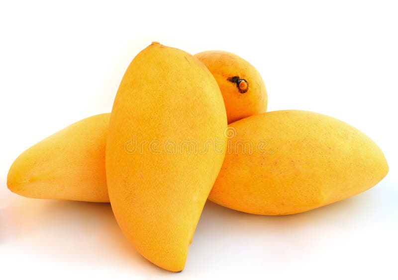 Yellow mango on white stock image. Image of isolated - 32841873