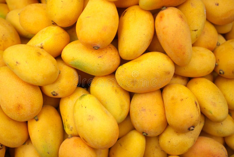Yellow mango stock image. Image of closeup, market, flavorful - 23822977