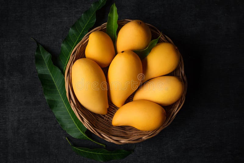 141 Texture Mango Tree Skin Stock Photos - Free & Royalty-Free Stock ...