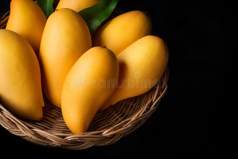 141 Texture Mango Tree Skin Stock Photos - Free & Royalty-Free Stock ...