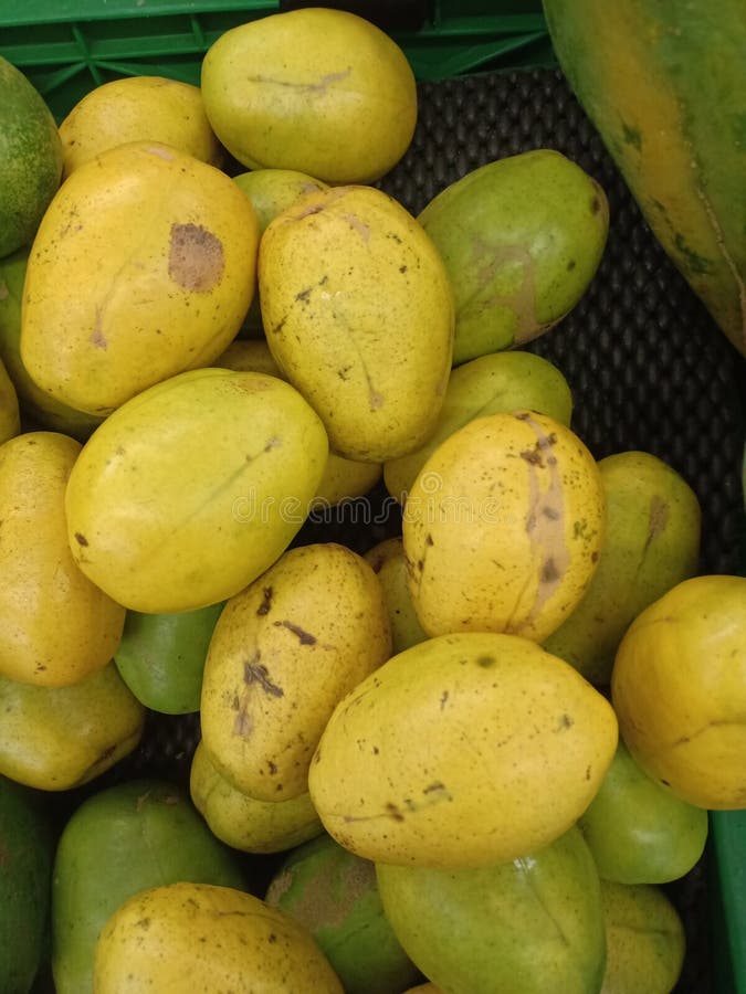 The Yellow Mango in the Box Stock Photo - Image of tree, yellow: 291873430