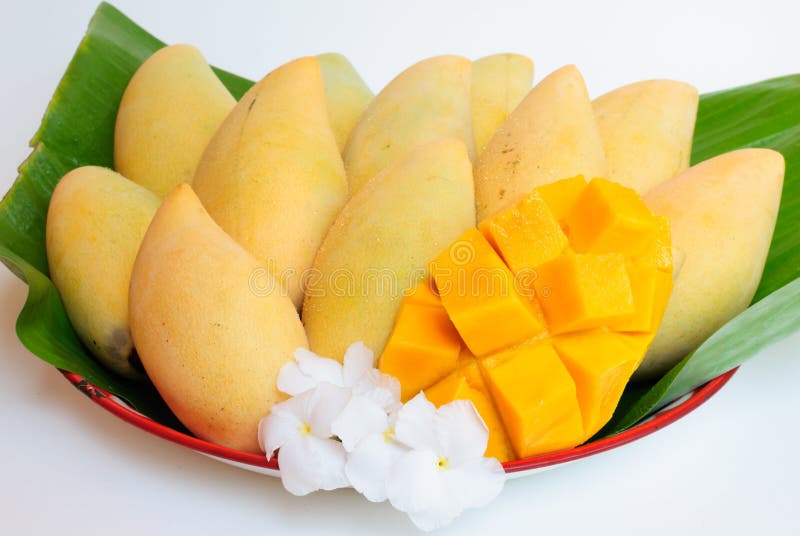 Yellow mango fruit stock image. Image of exotic, delicious - 41047263